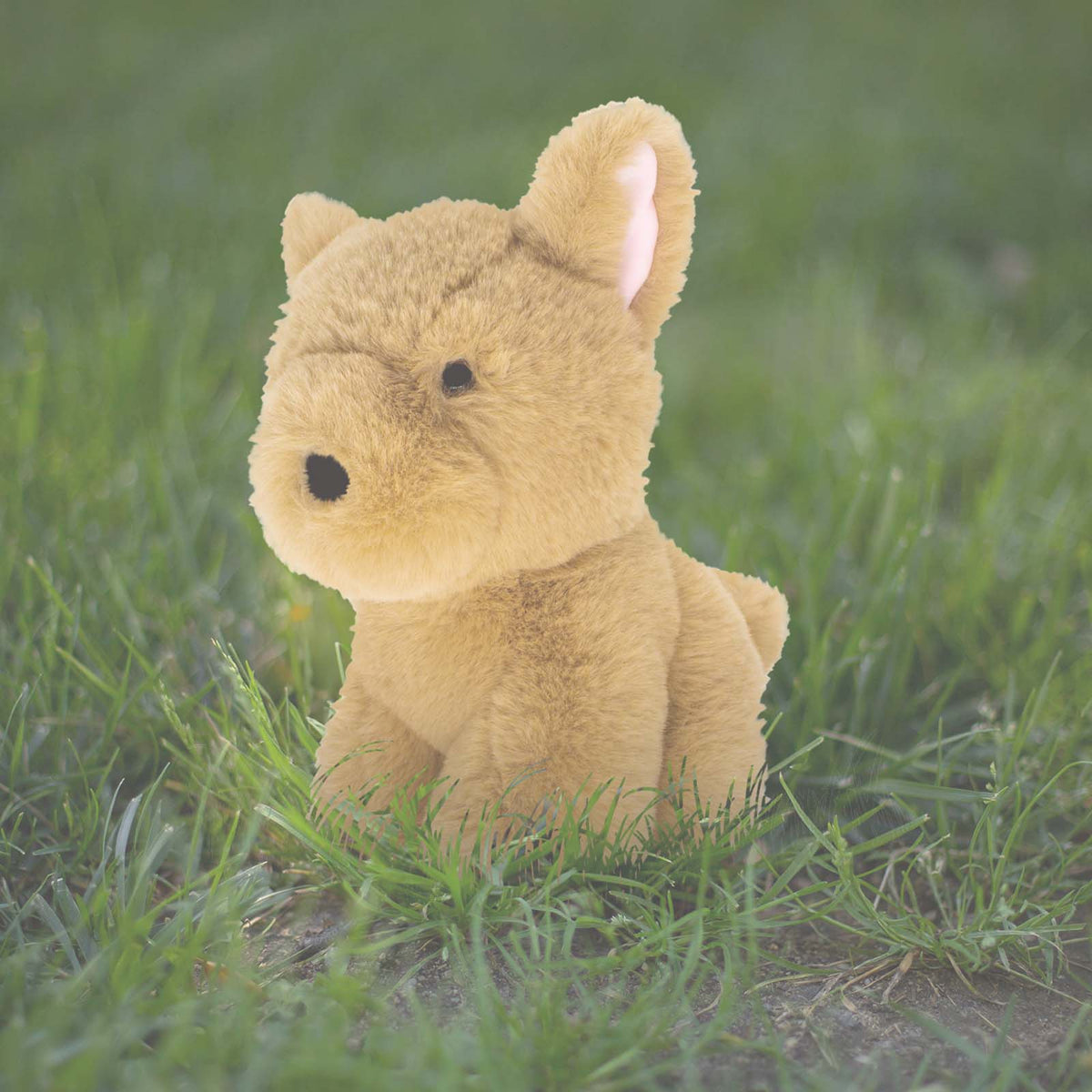 World's Softest Plush - Huggee - Brown Dog Huggee 11 inches Medium-siz ...